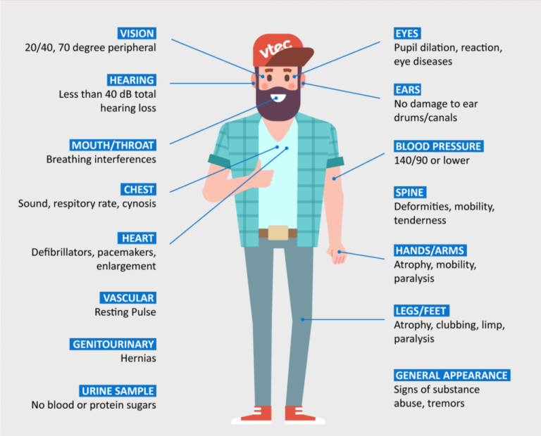 CDL Medical Exam: Complete Guide to Stay Eligible