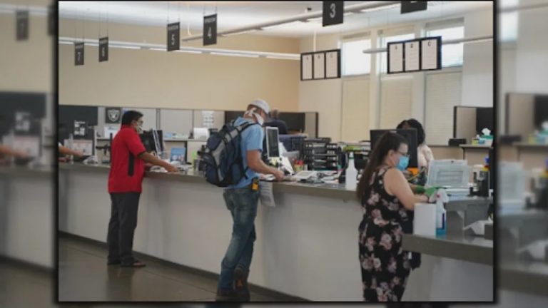 CDL Learner's Permit 101: Everything You Need To Know