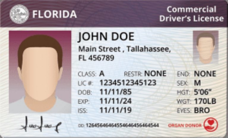 How Much Does It Cost To Get A CDL License In Florida?