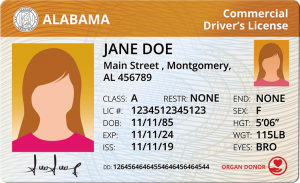 How To Get CDL In Alabama : Full Guide For Truck Drivers